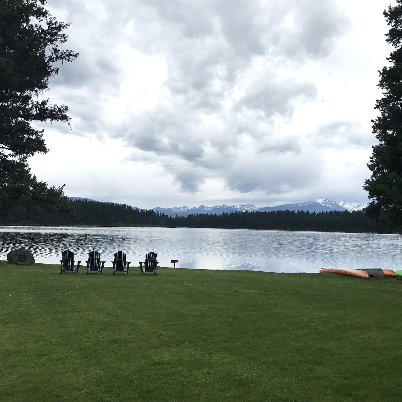 jefe velo / jefe.bike