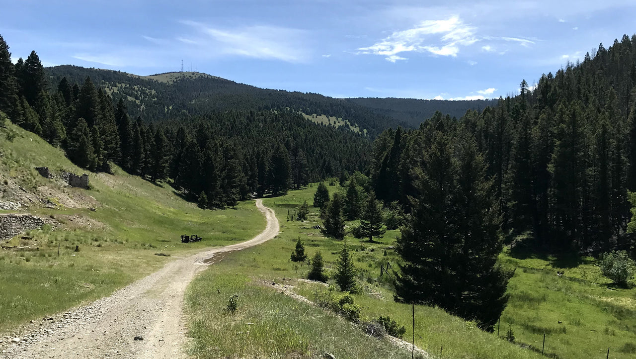 jefe velo / jefe.bike